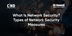What Is Network Security? Types of Network Security Measures | EC-Council