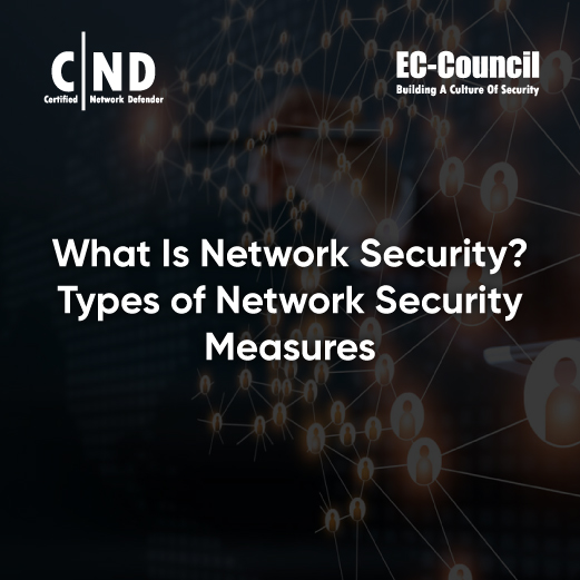 What Is Network Security? Types of Network Security Measures | EC-Council