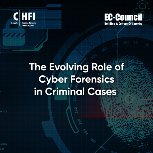 The Evolving Role of Cyber Forensics in Cyber Criminal Cases Investigation