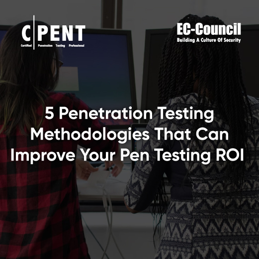 5 Penetration Testing Methodologies That Can Improve Your Pen Testing ROI