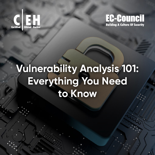 What is Vulnerability Analysis or Vulnerability Assessment? A ...