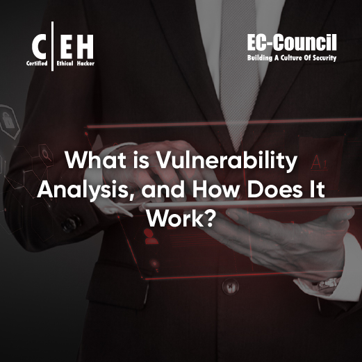 Guide to Conducting Vulnerability Analysis in Cybersecurity | EC-Council