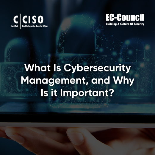 What is Cybersecurity Management? Importance & Role in CISO | EC-Council