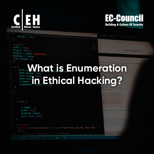 What is Enumeration in Ethical Hacking and Cyber security? What is Enumeration in Ethical Hacking and Cyber security?