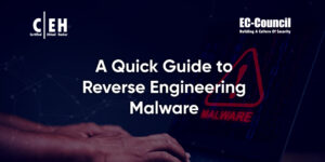Malware Reverse Engineering for Beginners Explained