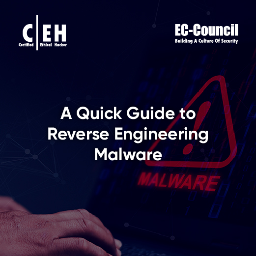 Malware Reverse Engineering For Beginners Explained
