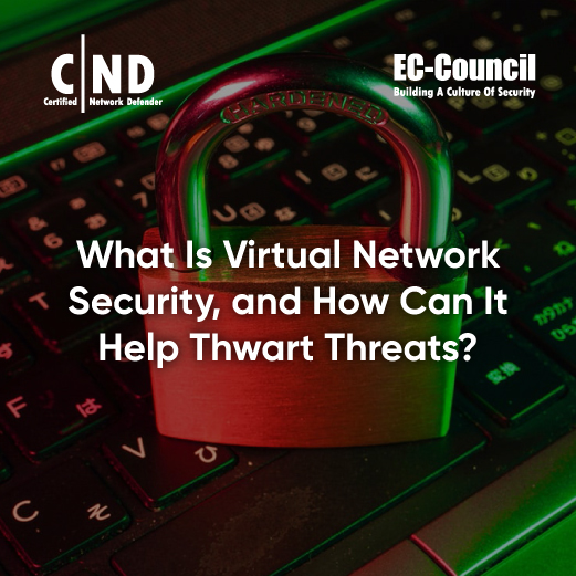 A Complete Guide to Virtual Network Security