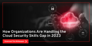 Handling Cloud Security Skills Gap on Organizational level - CCSE