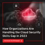 Handling Cloud Security Skills Gap on Organizational level - CCSE