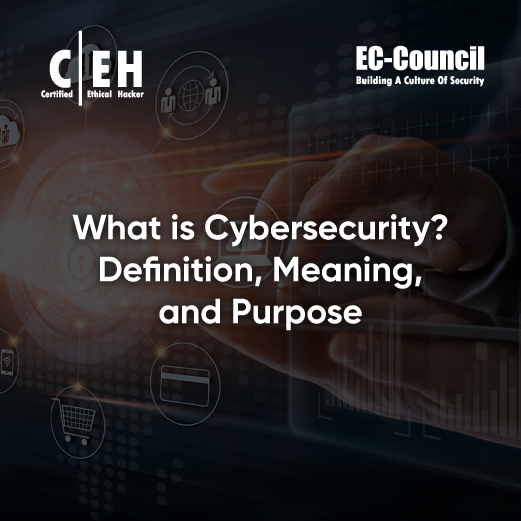 What is Cyber Security? Meaning, Types & Importance