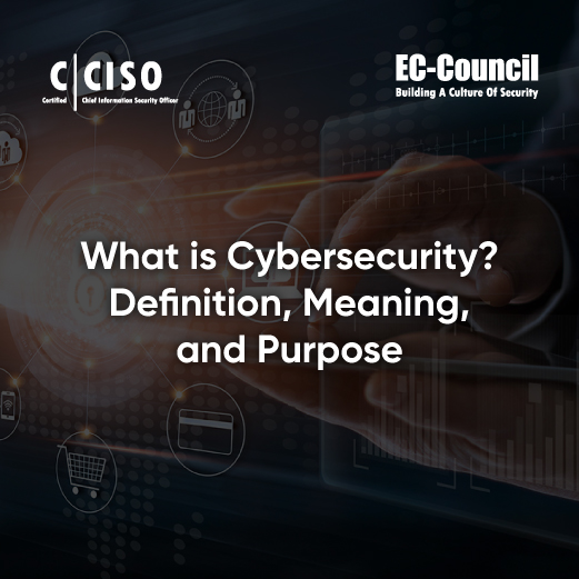 What is Cyber Security? Meaning, Types & Importance