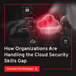 Handling Cloud Security Skills Gap on Organizational level - CCSE