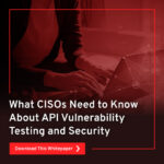 What CISOs Need to Know About API Vulnerability Testing and Security ...