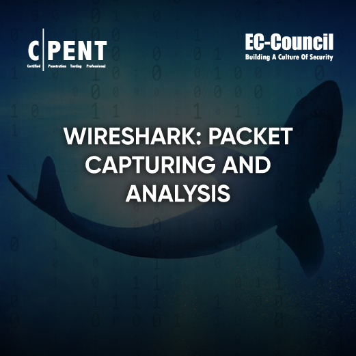 What Is Wireshark Network Packet Capturing And Analysis With Wireshark