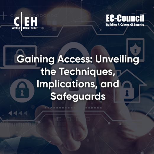 Gaining Access in Cyber Security: Techniques and Safeguards