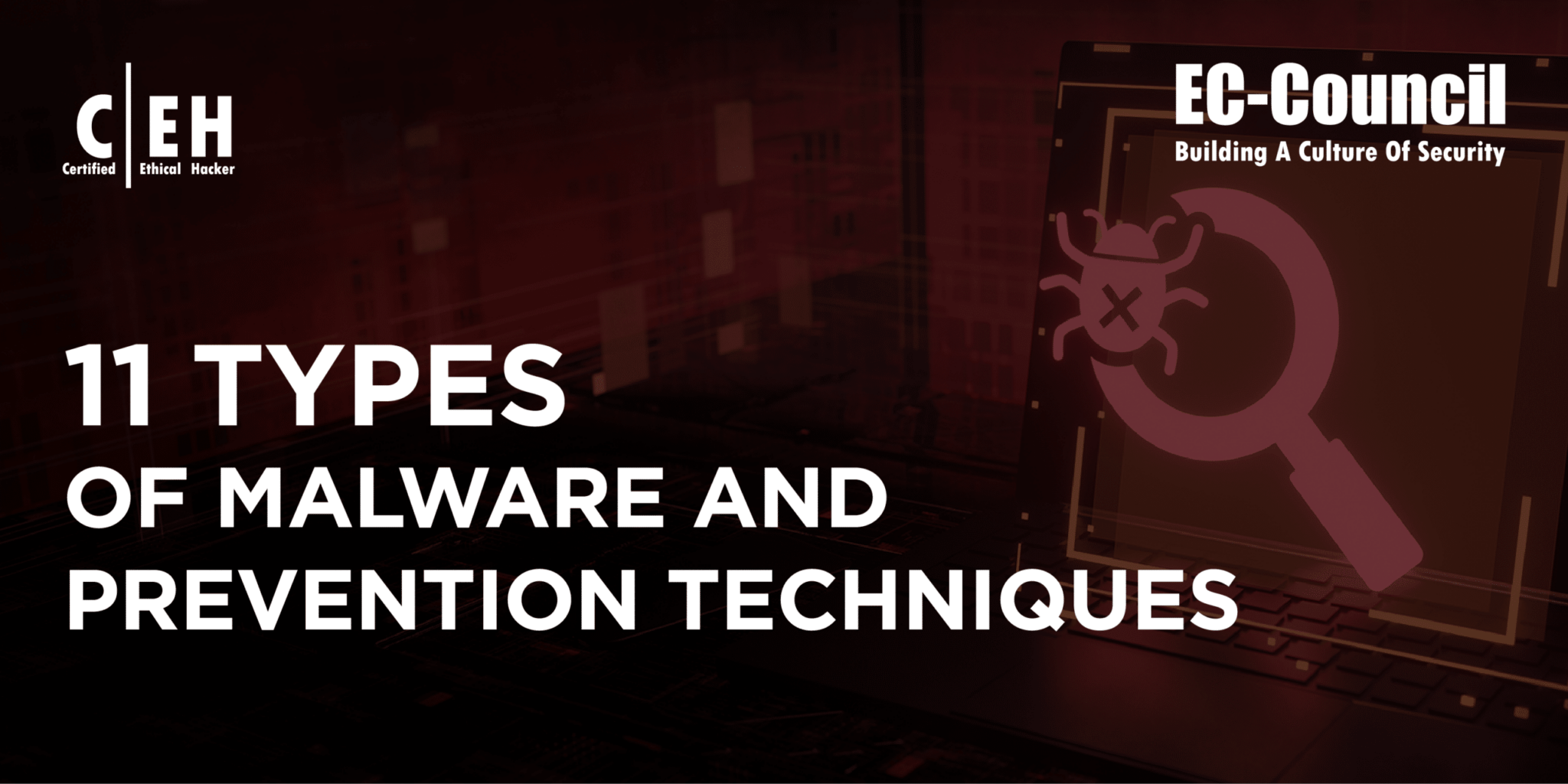 11 Different Types of Malware | Malware Protection And Prevention | EC ...