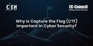 What is Capture The Flag? | CTF Types & Important in Cybersecurity