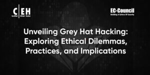 What is Grey Hat Hacking- A Complete Guide