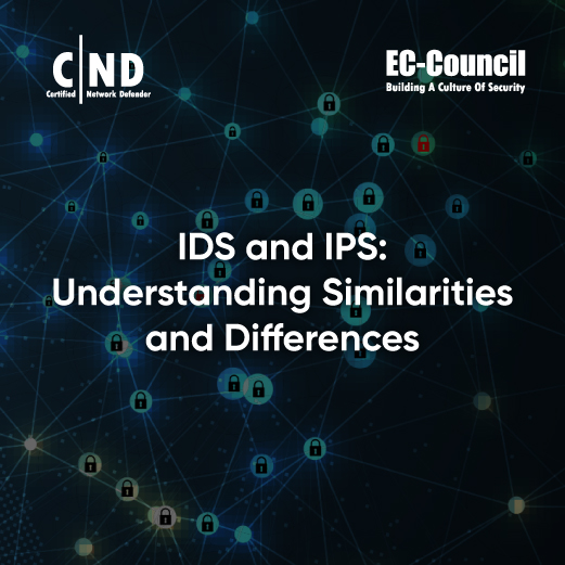IDS and IPS: Key Differences and Roles in Cybersecurity | EC-Council