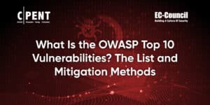Guide to OWASP Top 10 Vulnerabilities and Mitigation Methods