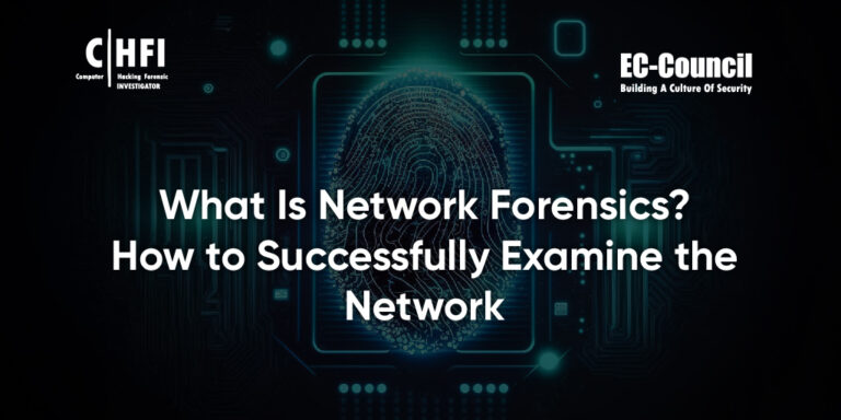 What is Network Forensics & How to Examine a Network Successfully