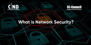 What Is Network Security? Importance, Types, Jobs & More