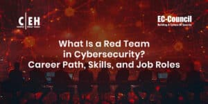 What Is a Red Team in Cybersecurity? Red Team Jobs & Skills