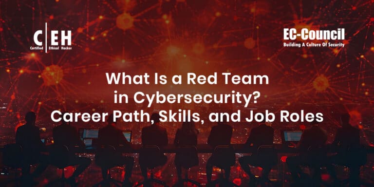 A Comprehensive Overview of Red Team in Cybersecurity