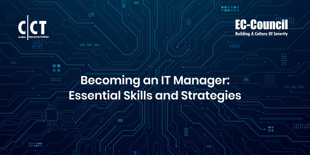 A Comprehensive Overview of Red Team in Cybersecurity