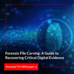 Forensic File Carving: A Guide to Recover Digital Evidence