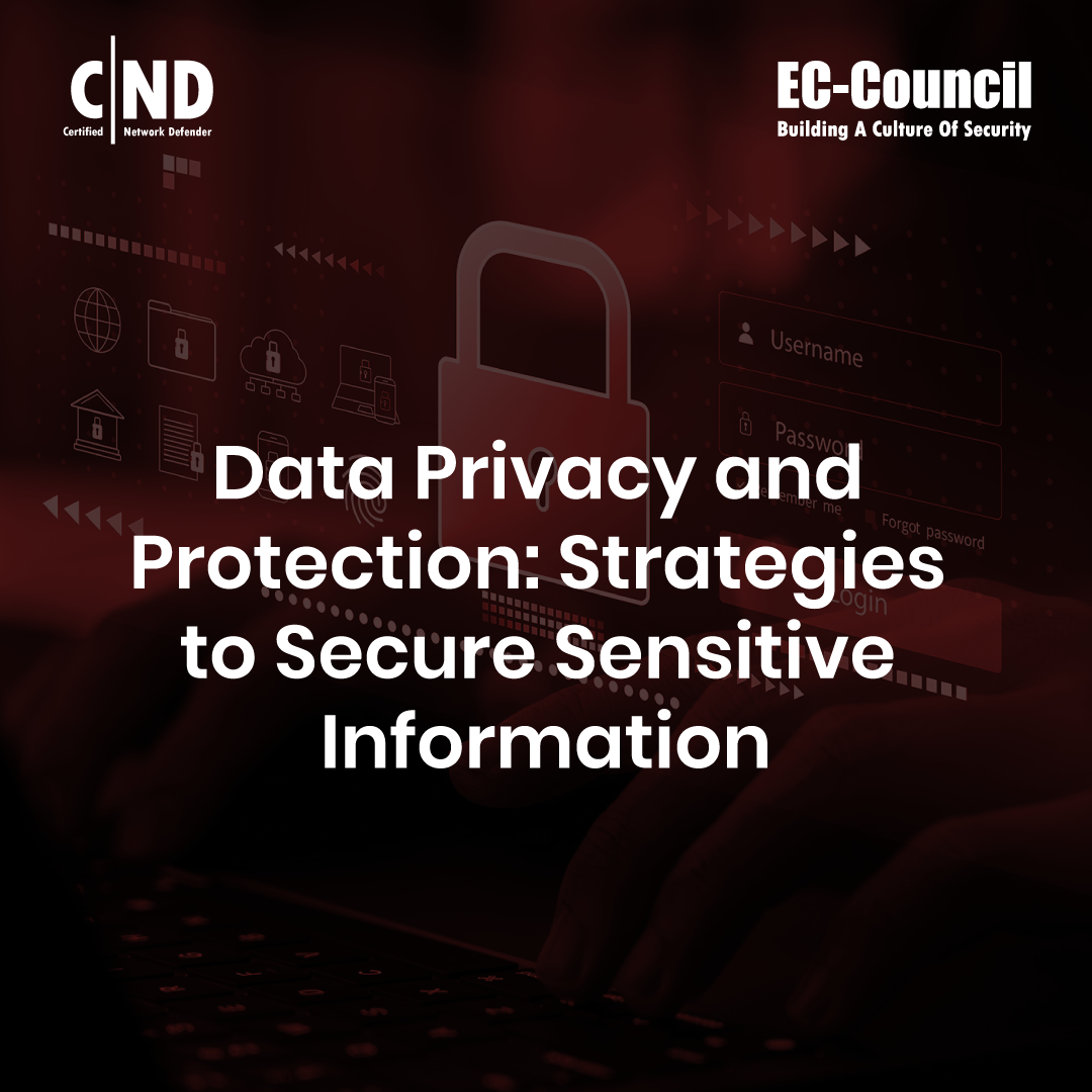 Data Privacy and Protection Strategies