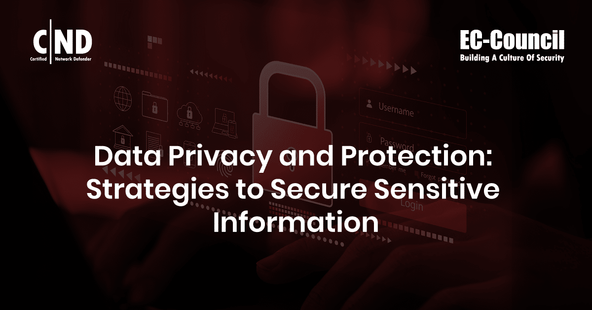 Data Privacy and Protection Strategies