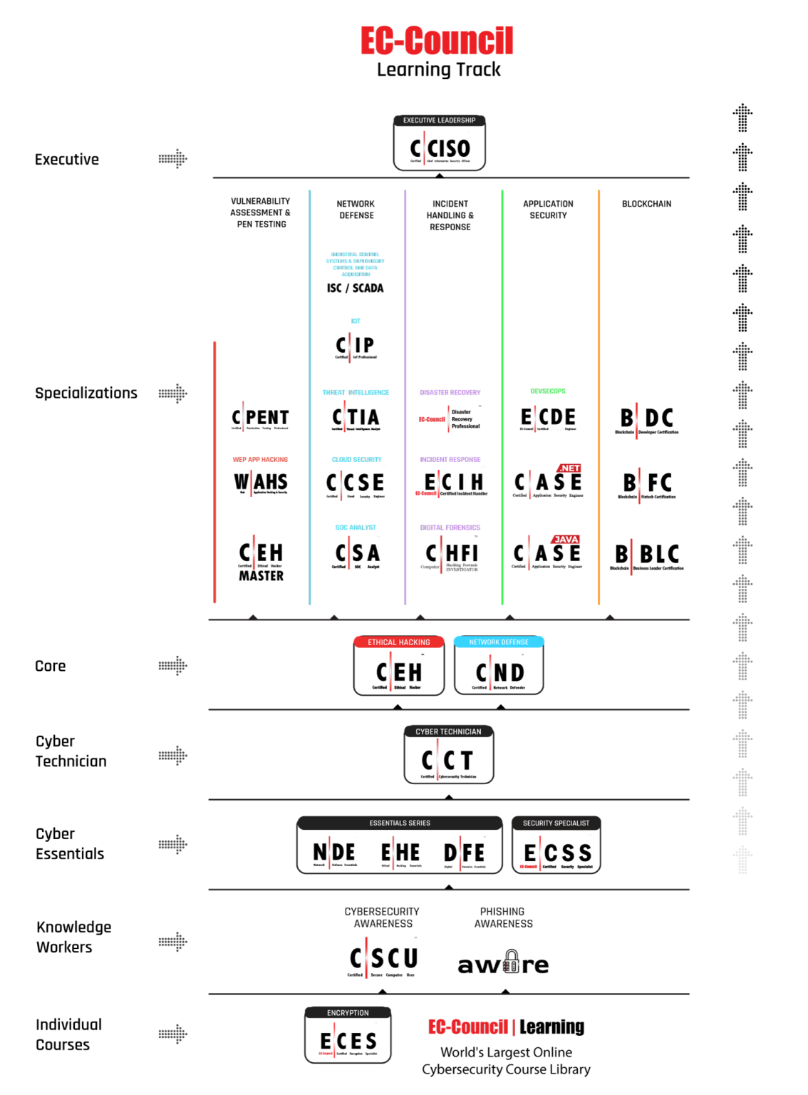 Best Career Path: Become An Application Security Engineer | EC-Council
