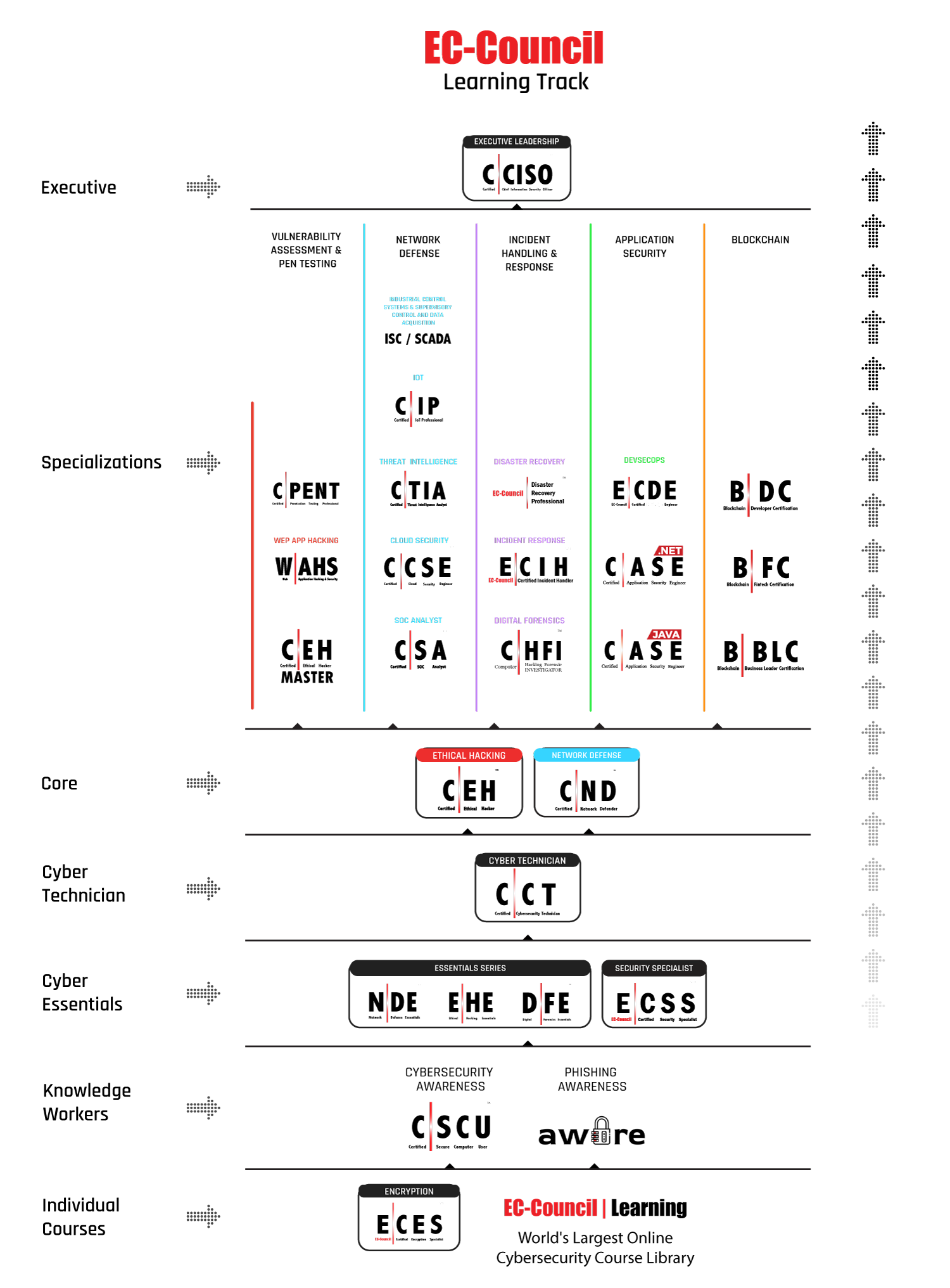 Vulnerability Assessment & Penetration Testing (VAPT) |Career Path | EC ...