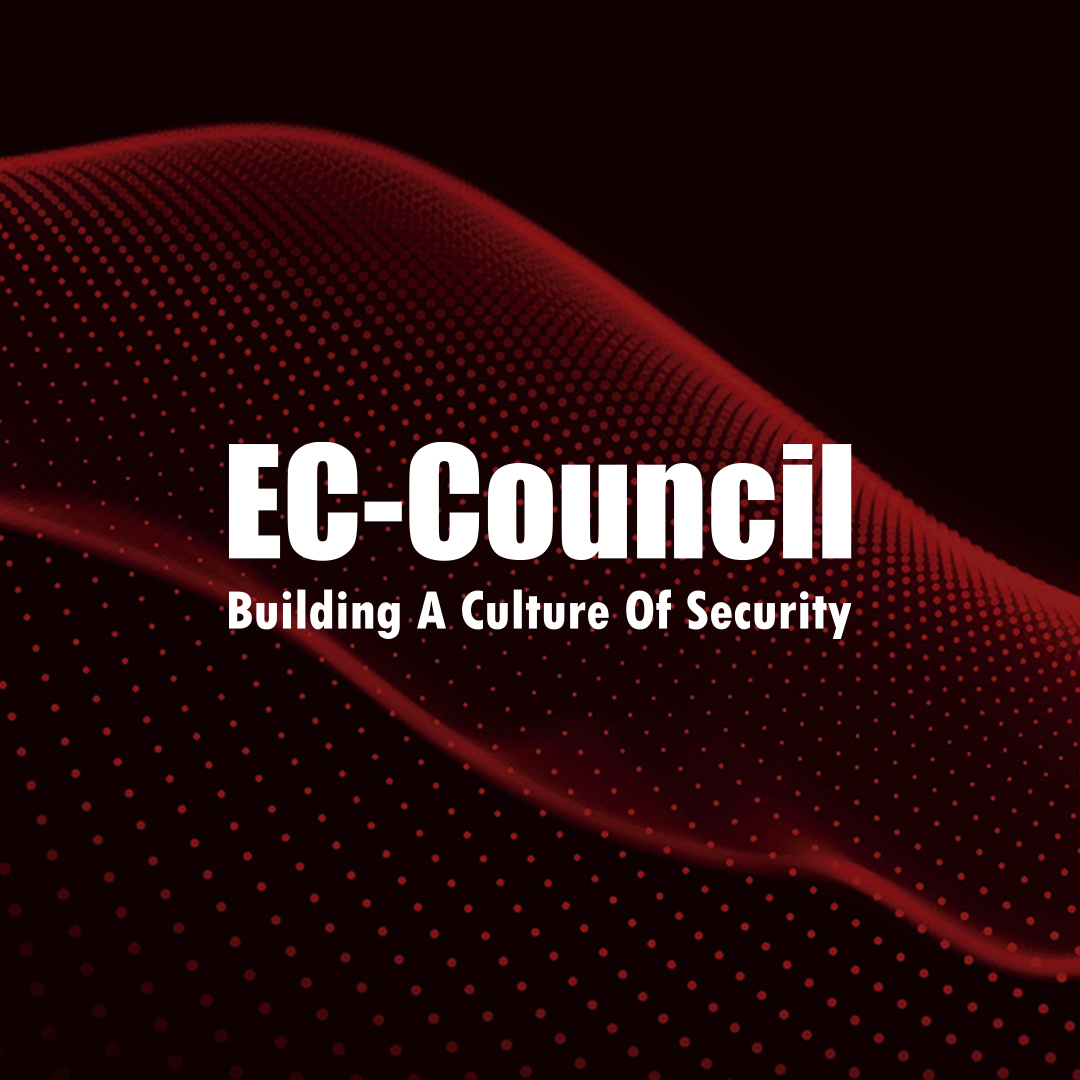 Ethical Hacker Salary: What to Expect in 2025 | CEH Salary