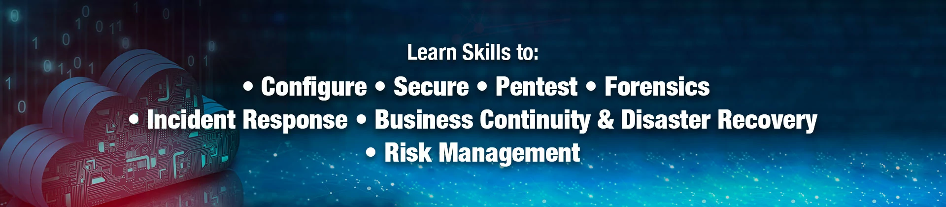 Certified Cloud Security Engineer (CCSE) Course | Cloud Security ...