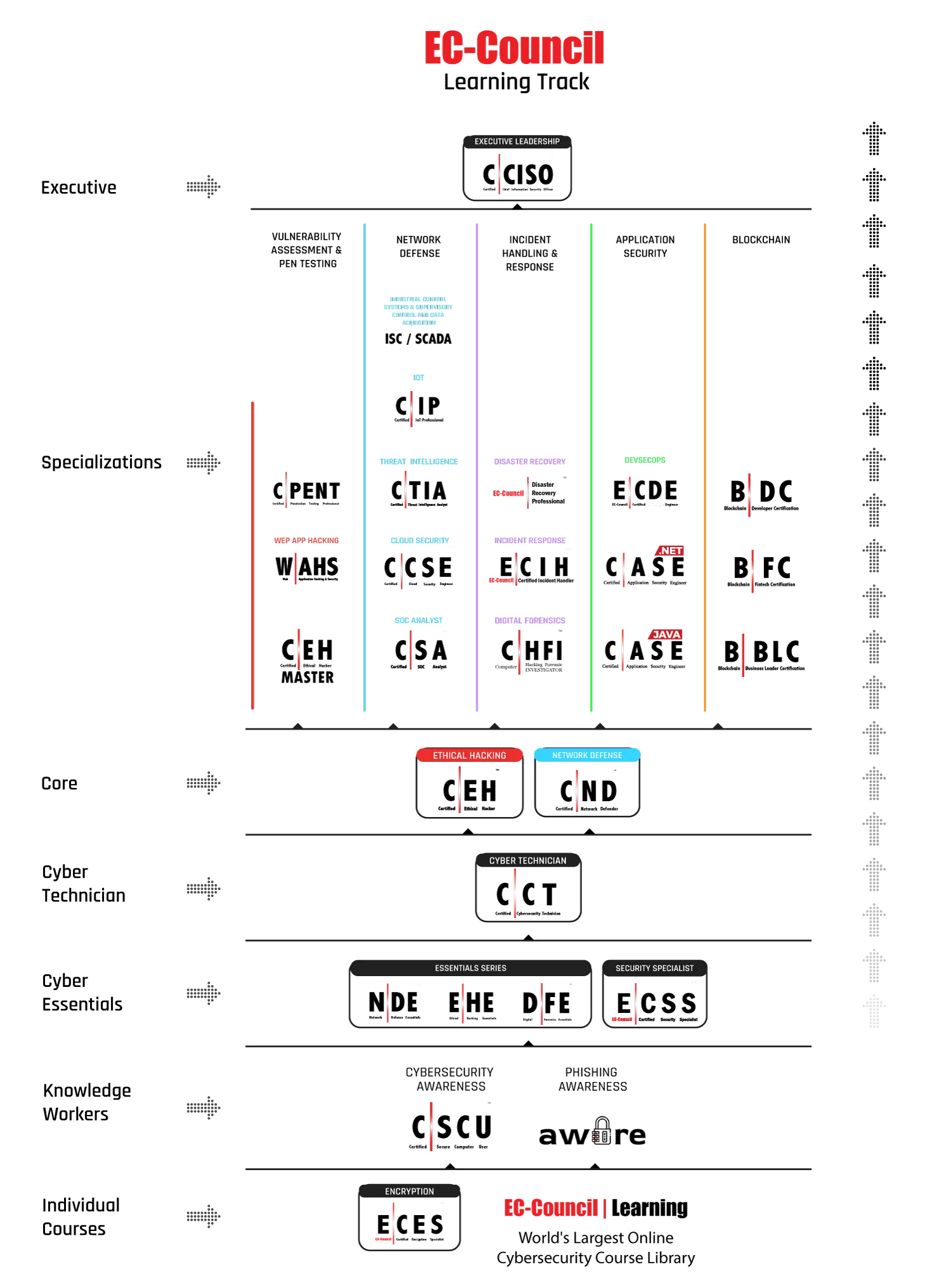 Best Career Path: Become An Application Security Engineer | EC-Council
